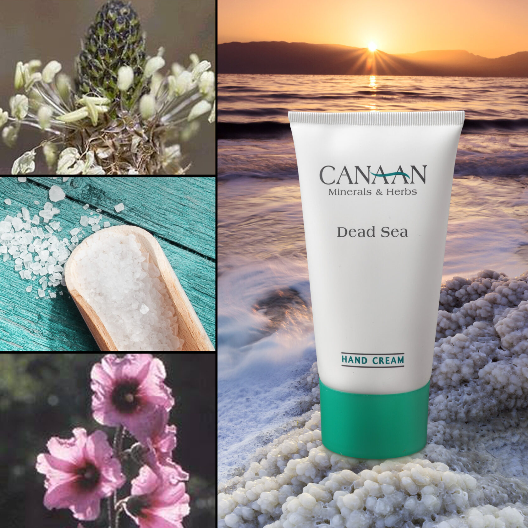 Canaan Hand Cream | Chic Hlavin