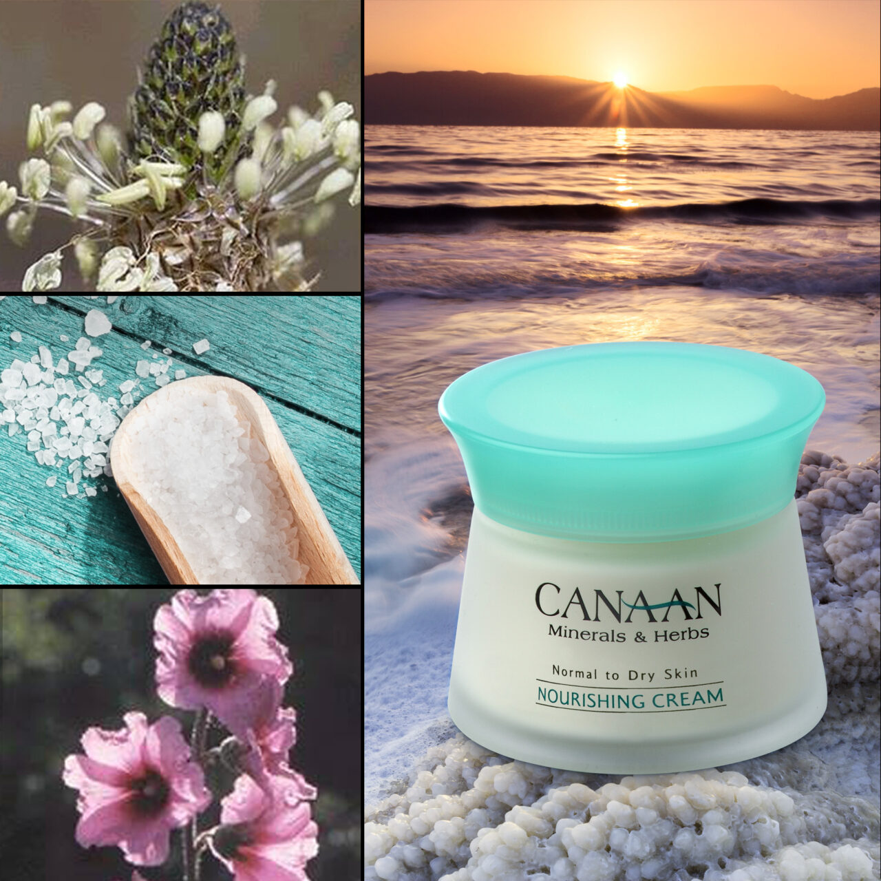 Canaan Nourishing Facial Cream for normal to dry skin | Chic Hlavin